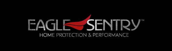Eagle Sentry | (702) 736-8880 | Las Vegas, NV
